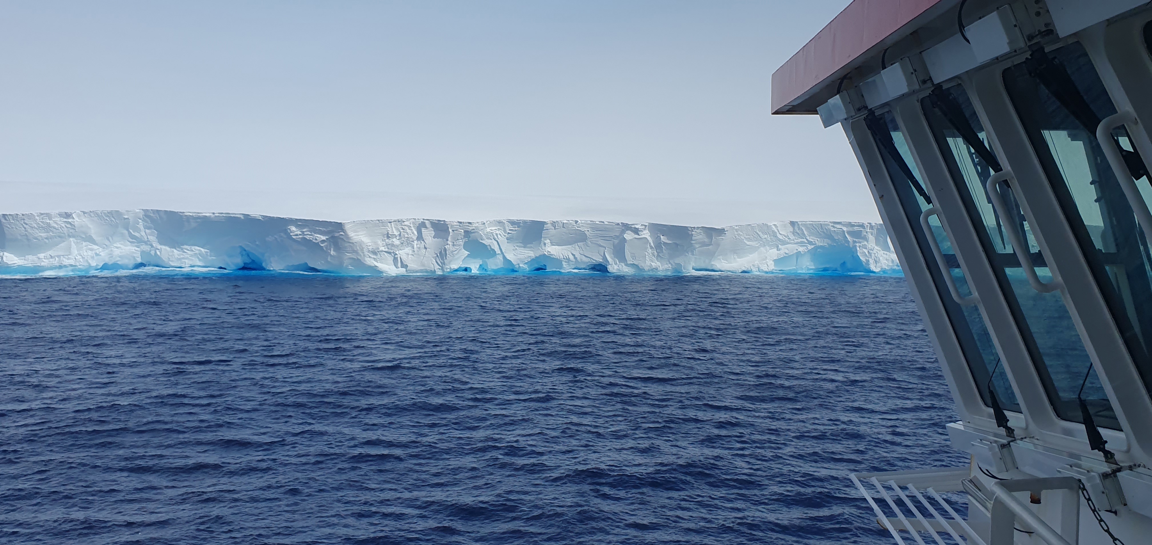 The Monster of the Southern Ocean | MS Amlin
